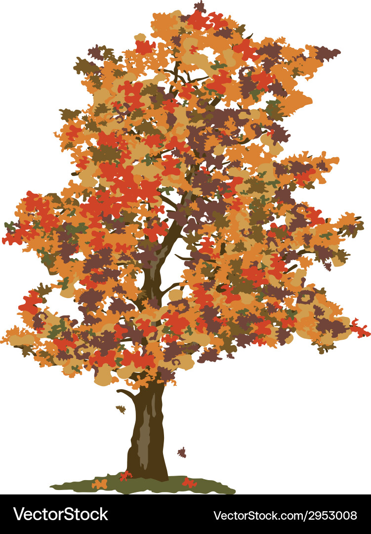 Autumn tree Royalty Free Vector Image - VectorStock