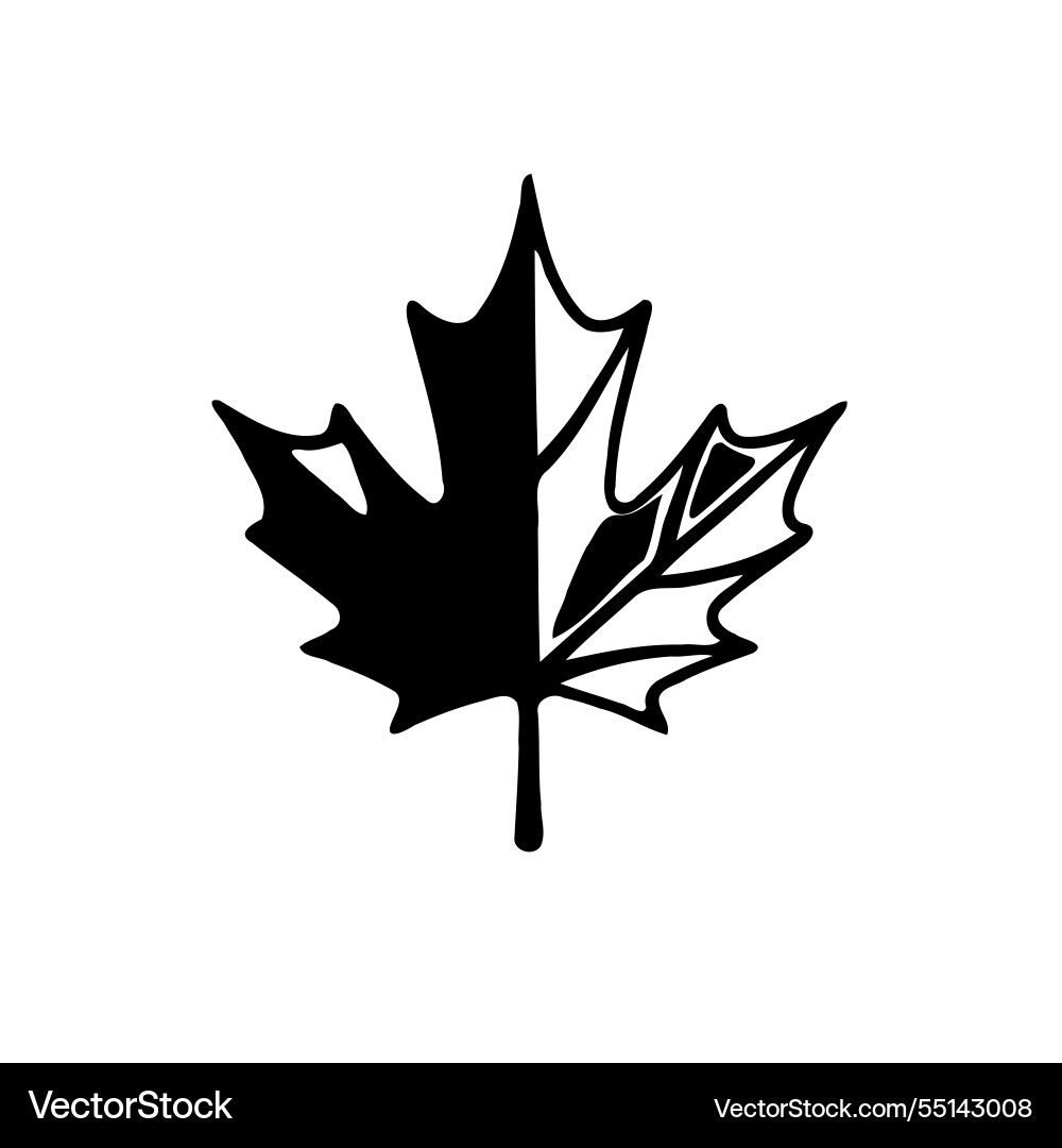 Stylized maple leaf black and white design Vector Image
