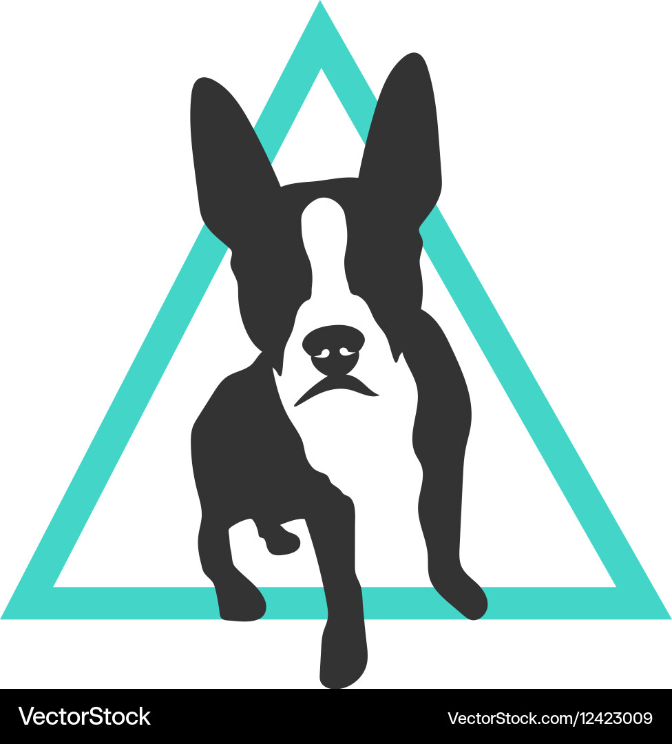 Boston Terrier Triangle Icon Royalty Free Vector Image