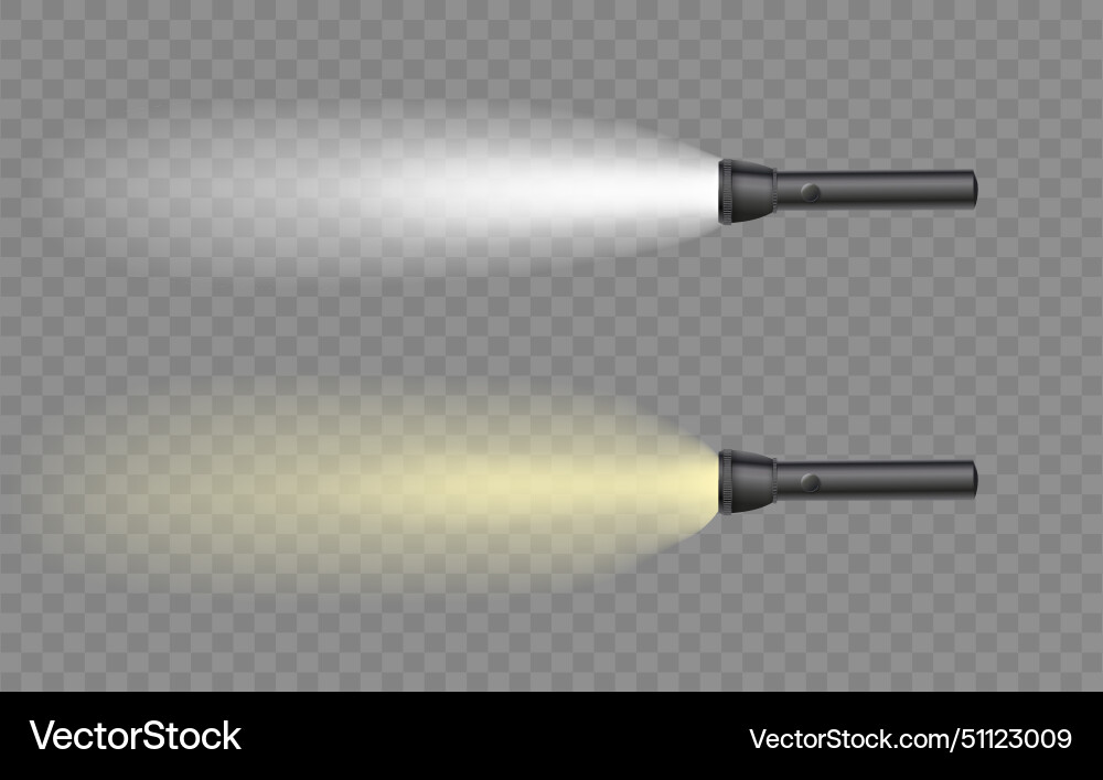 Flashlight on a transparent background shine Vector Image