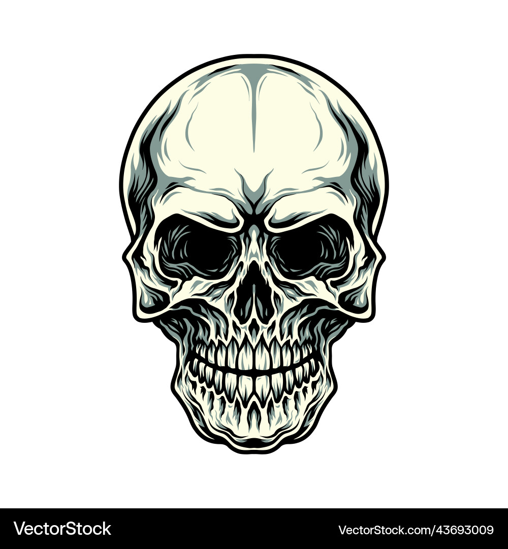 Skull Royalty Free Vector Image - VectorStock