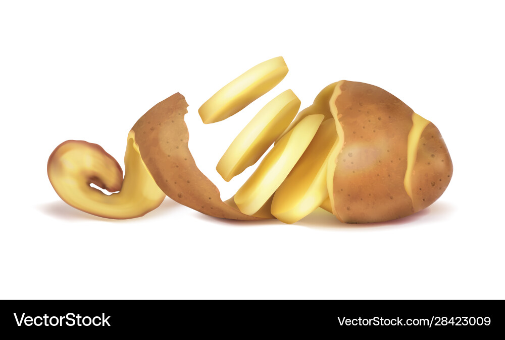 Yellow raw peeled potatoes with twisted pee Vector Image