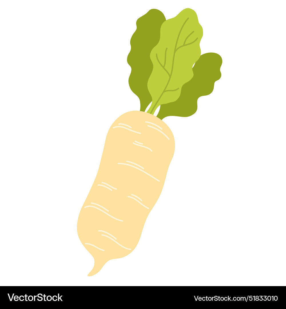 2078 vegetables daikon Royalty Free Vector Image