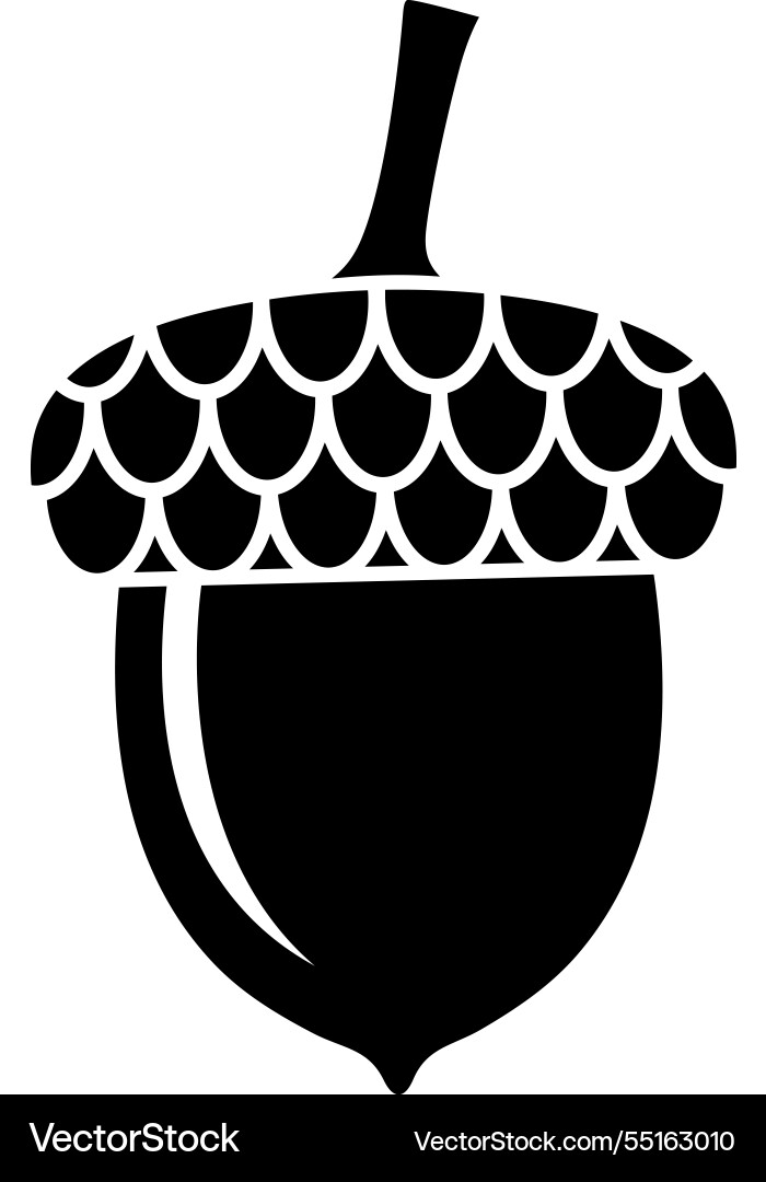 Acorn Royalty Free Vector Image - VectorStock
