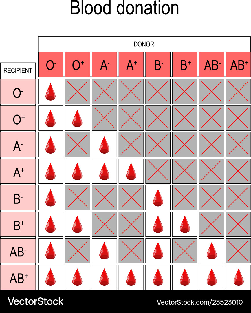 Blood Donation Graph 740 Blood Donation Info Royalty Free Images,