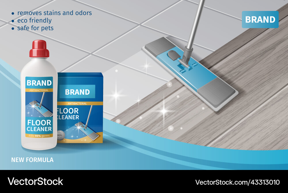 Household cleaning poster Royalty Free Vector Image