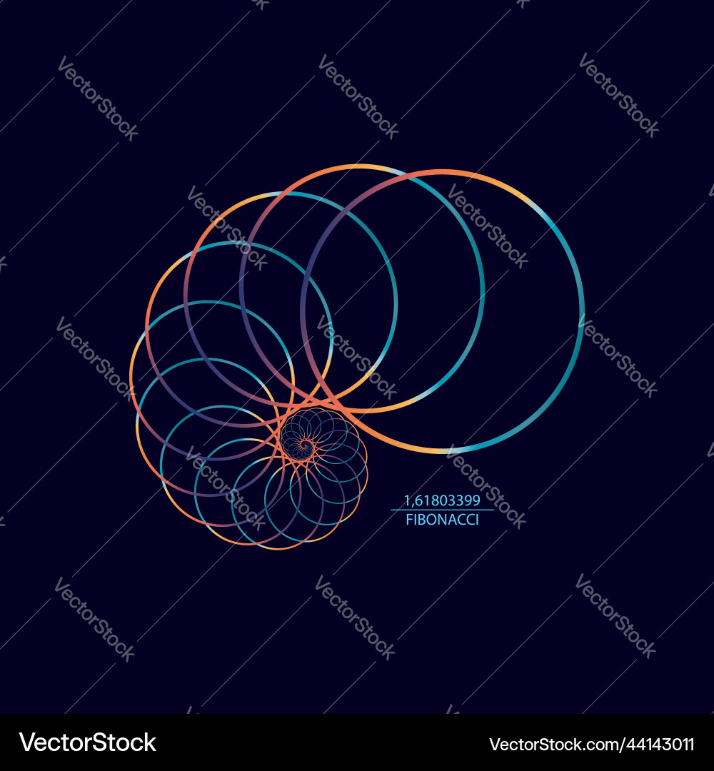 Fibonacci sequence circle golden ratio spiral Vector Image Fibonacci sequence circle golden ratio spiral Vector Image