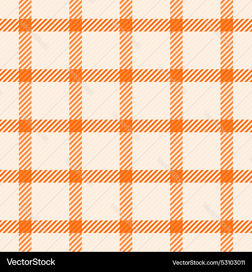 Outline textile background cover plaid pattern Vector Image