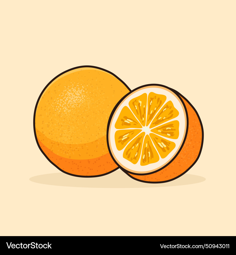 Two pairs of oranges fruit Royalty Free Vector Image
