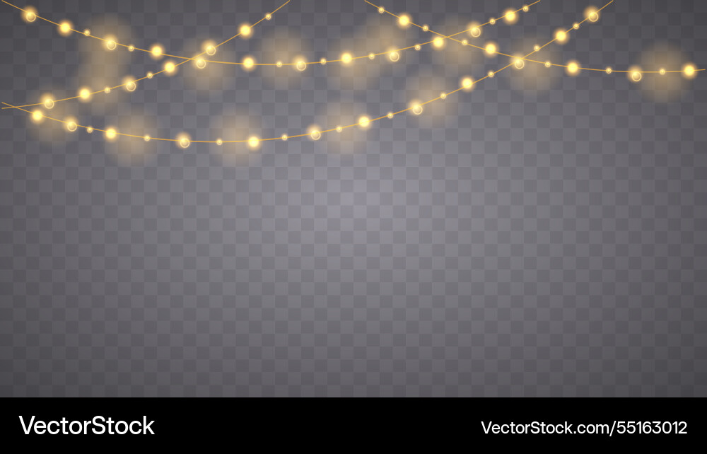 Christmas lights isolated on transparent Vector Image
