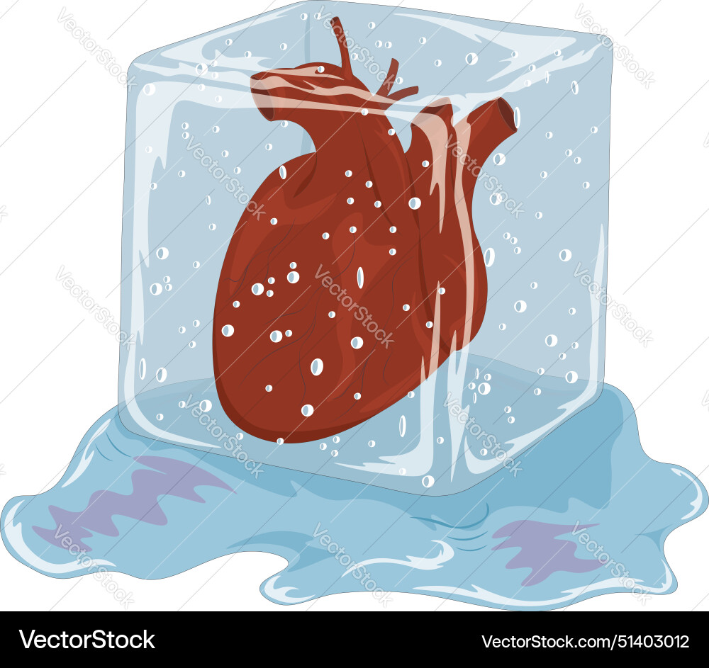 Iced heart in big melting ice cube Royalty Free Vector Image