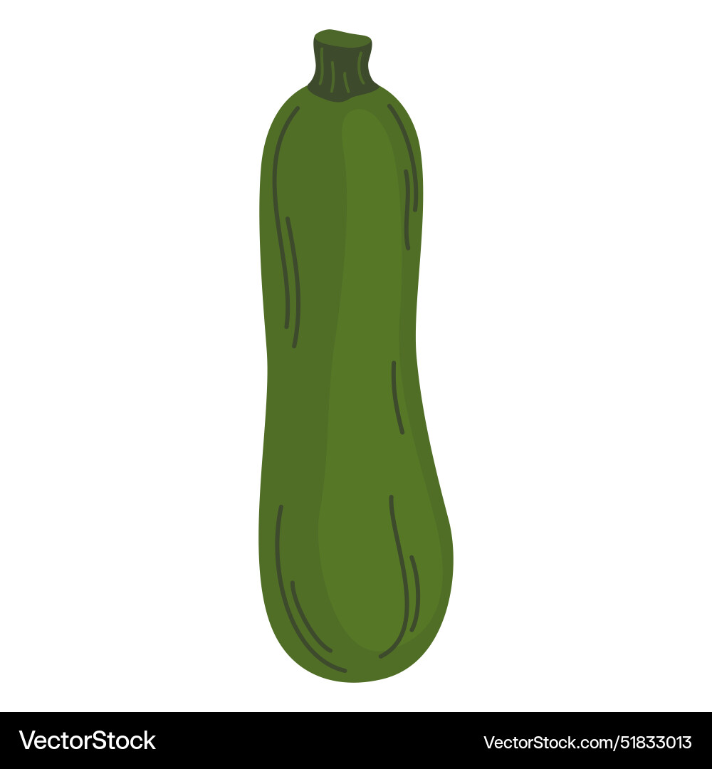 2081 vegetables zucchini Royalty Free Vector Image