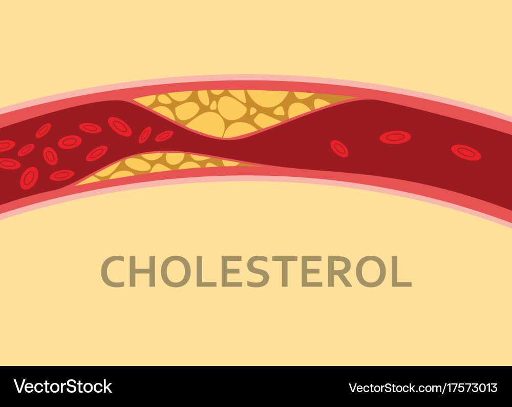 A cholesterol human body vein with blood cell Vector Image