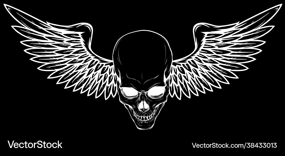 Skull with bird wings Royalty Free Vector Image