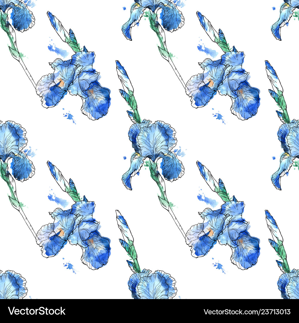 Watercolor Iris Flower Pattern Royalty Free Vector Image