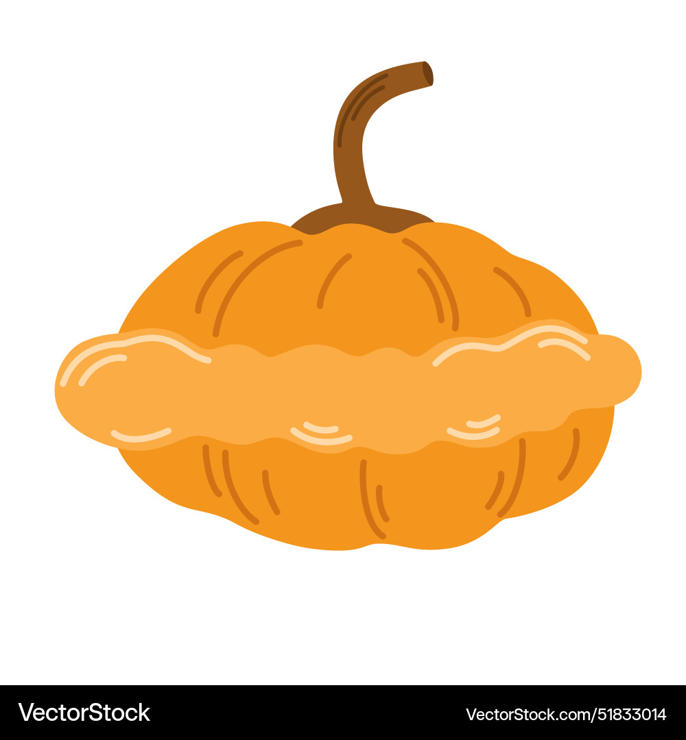 2082 vegetables pattypan Royalty Free Vector Image