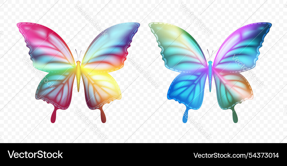 Colorful butterflies isolated on transparent Vector Image