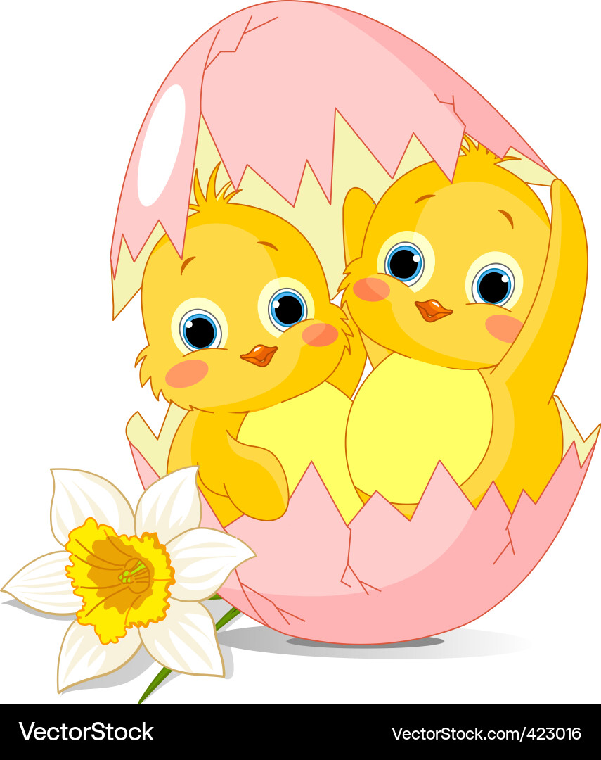 Cute Baby Chicks Hatching Royalty Free Vector Image