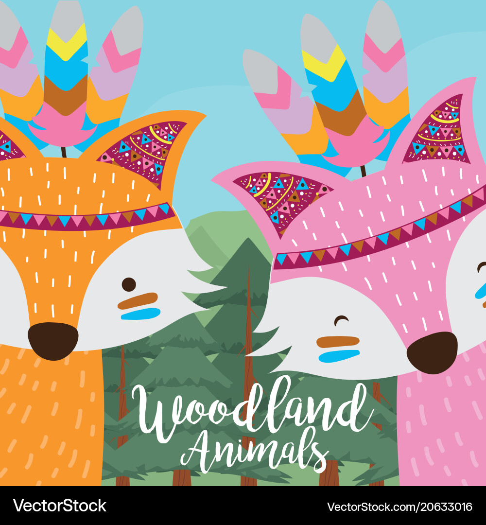 Foxes woodland animals Royalty Free Vector Image