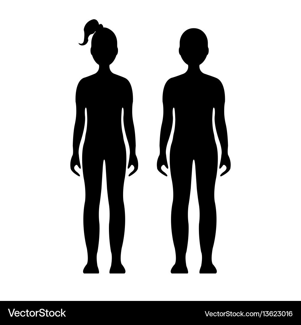 Human front side silhouette Royalty Free Vector Image