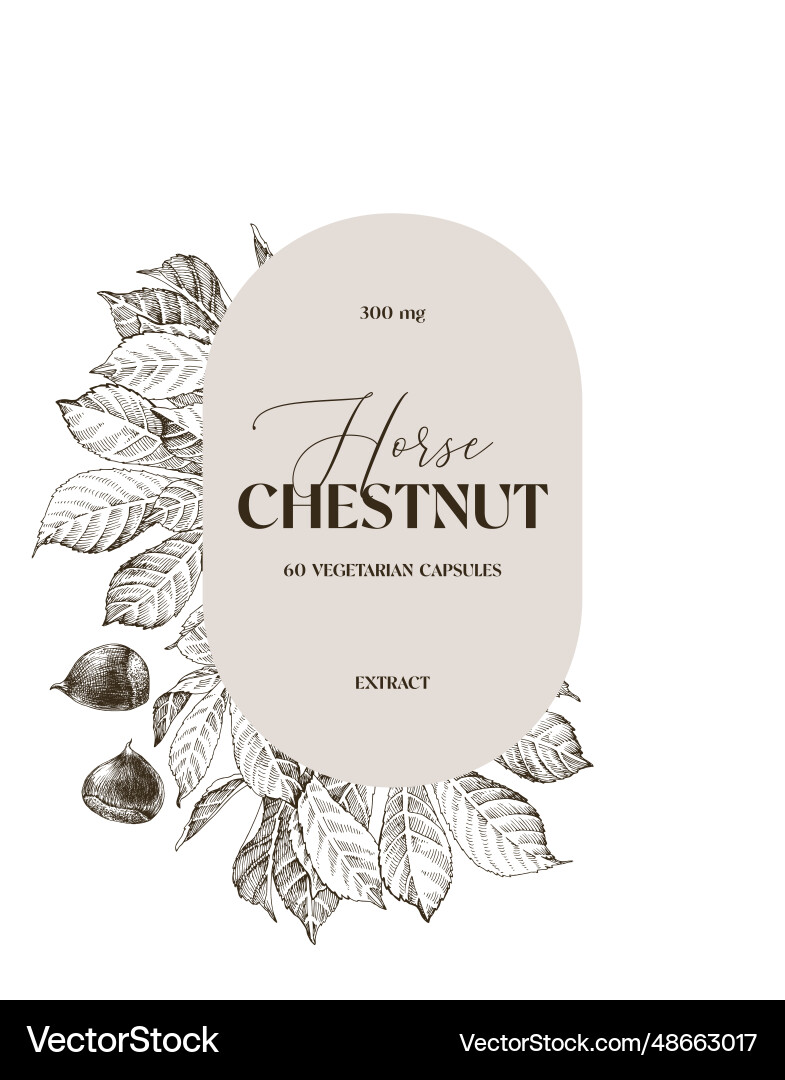 Horse chestnut extract label template Royalty Free Vector