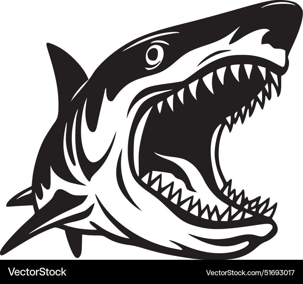 Shark - minimalist and simple silhouette Vector Image