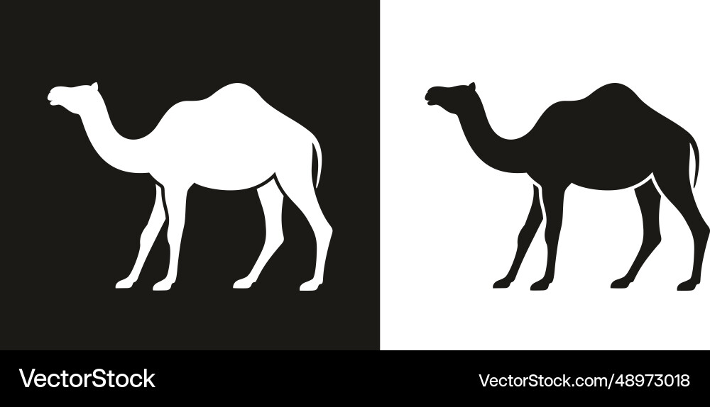 Camel Royalty Free Vector Image - VectorStock
