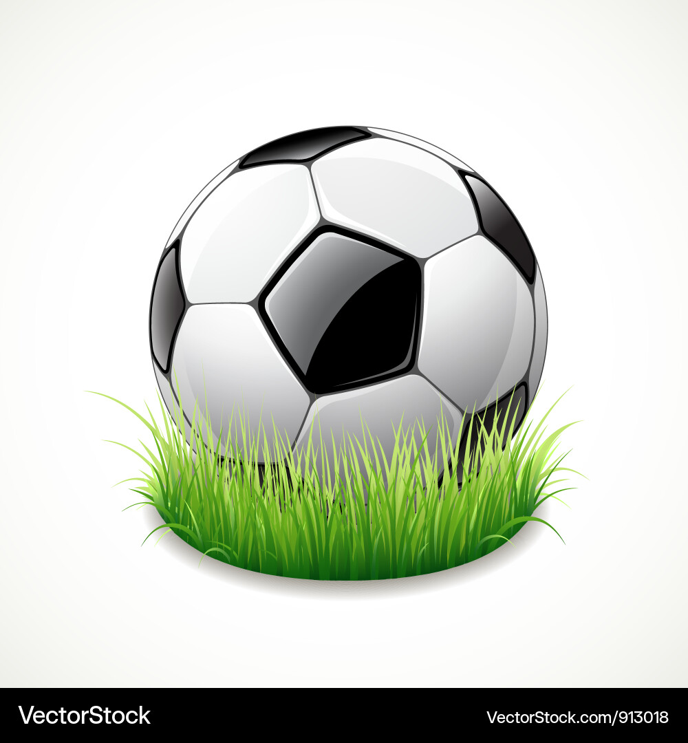 Football on green grass Royalty Free Vector Image