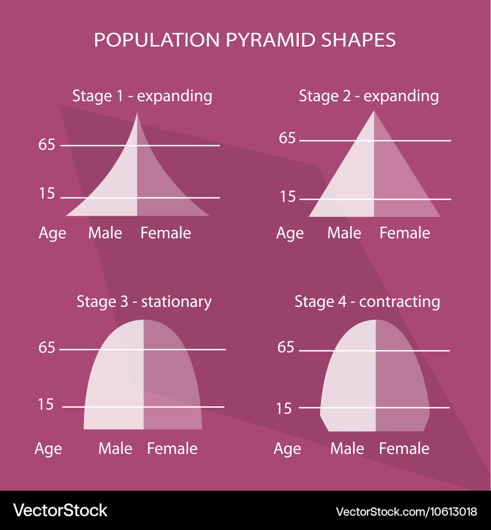 Population Pyramid Charts - Age Structure Vector Image