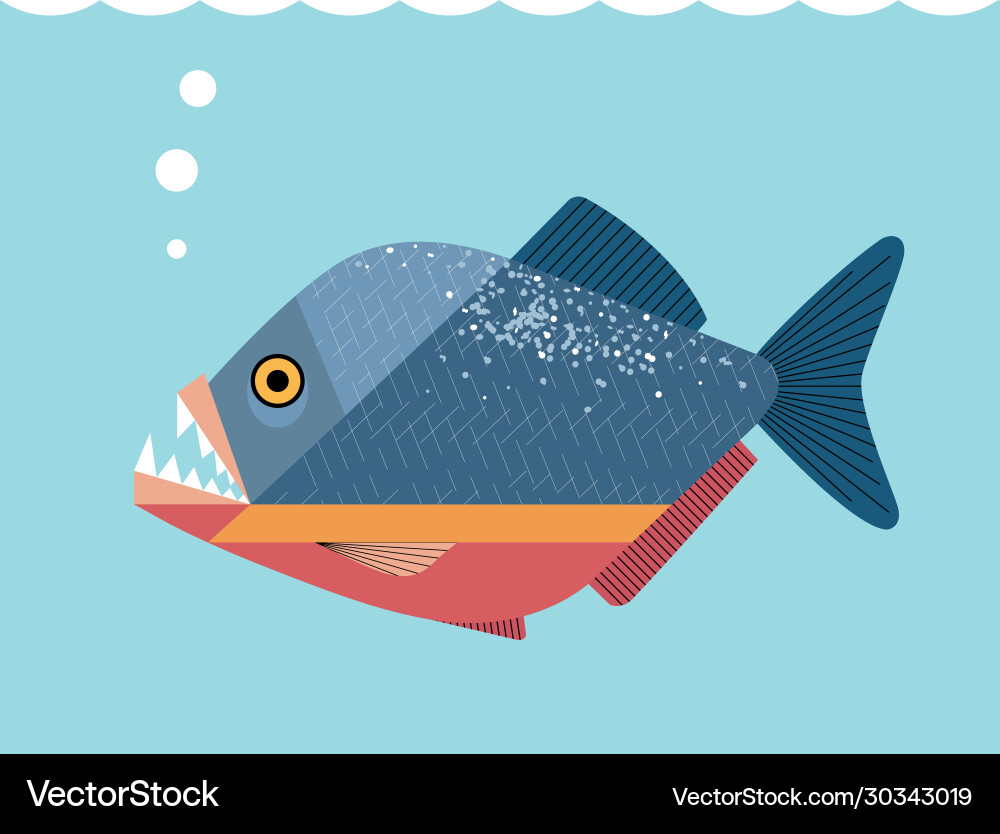 Piranha Royalty Free Vector Image - VectorStock