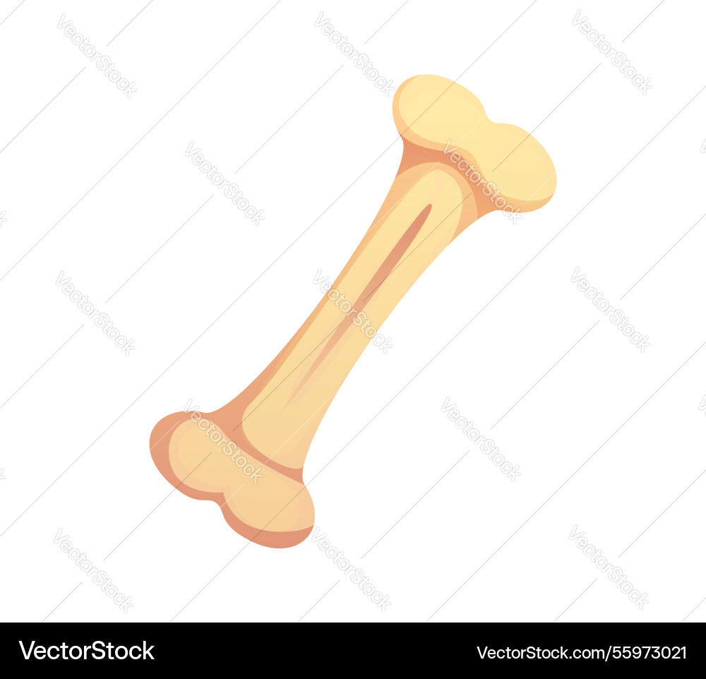 Cartoon mexican font bone punctuation slash sign Vector Image