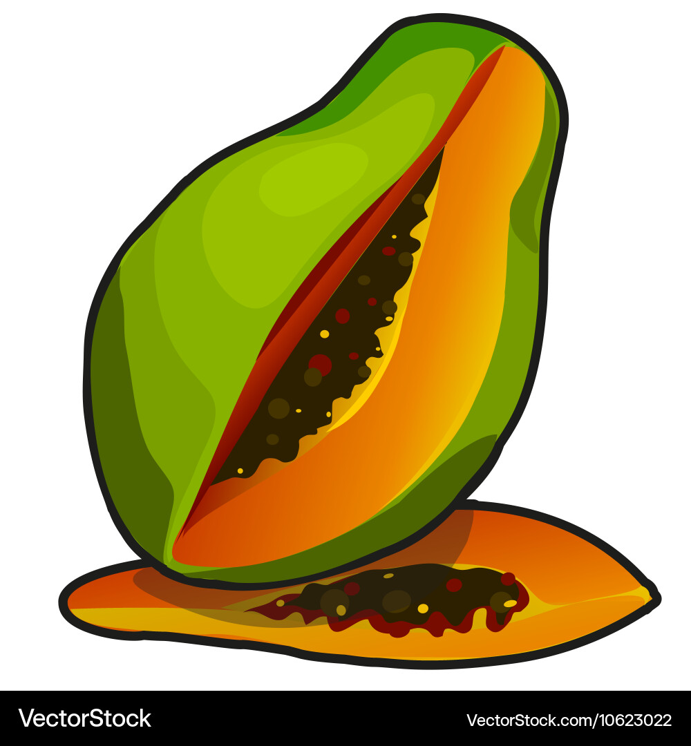 Exotic fruit papaya in cartoon style Royalty Free Vector