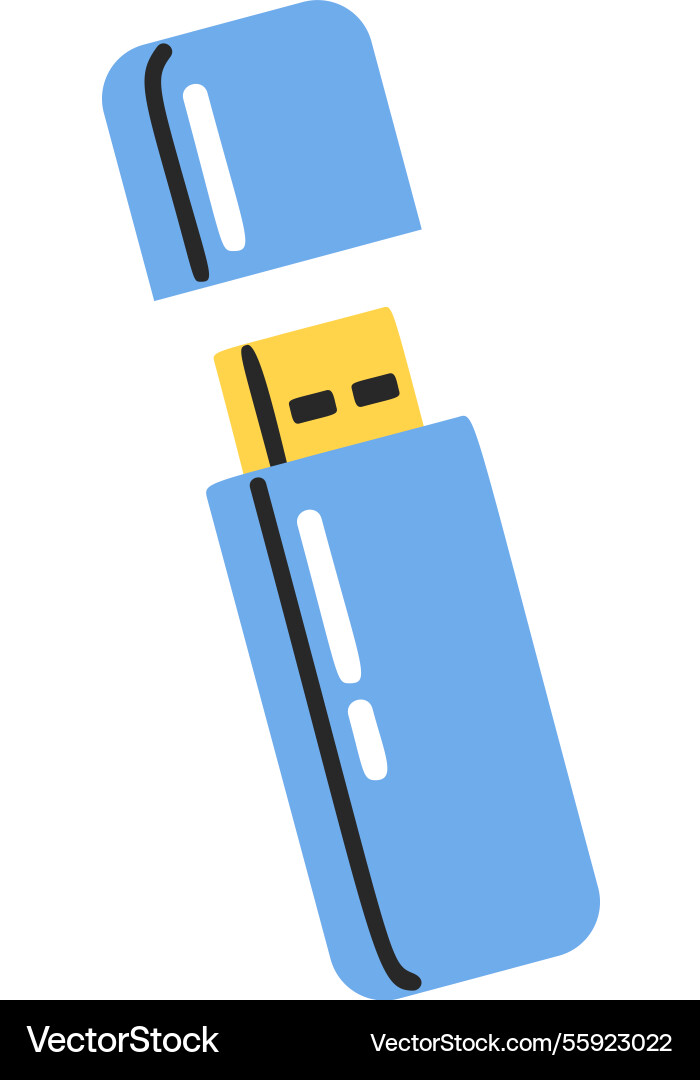 Removable usb flash drive device Royalty Free Vector Image