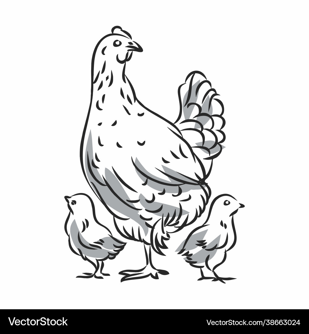 Line Art Hen and Chicks Royalty Free Vector Image