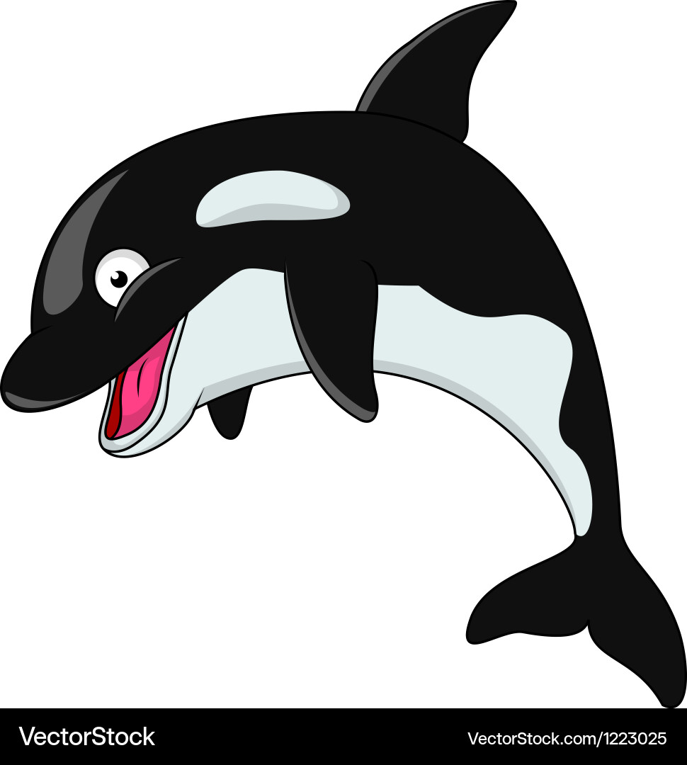 Black orca cartoon Royalty Free Vector Image - VectorStock