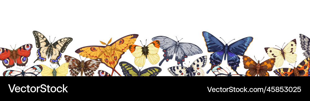 Realistic butterflies border beautiful moths Vector Image
