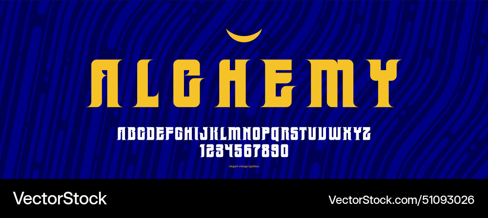 Classic serif vintage font for logos and emblems Vector Image