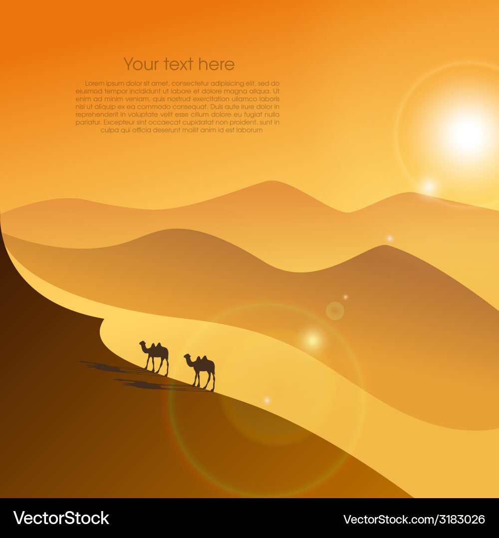 Two camels in desert Royalty Free Vector Image