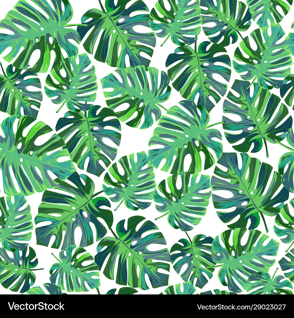 Exotic tropical pattern with monstera leaves Vector Image