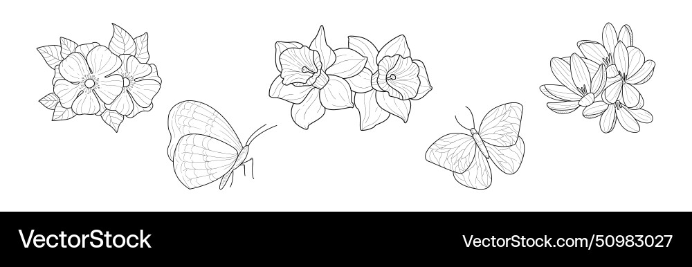 Flower as linear blooming garden plant set Vector Image