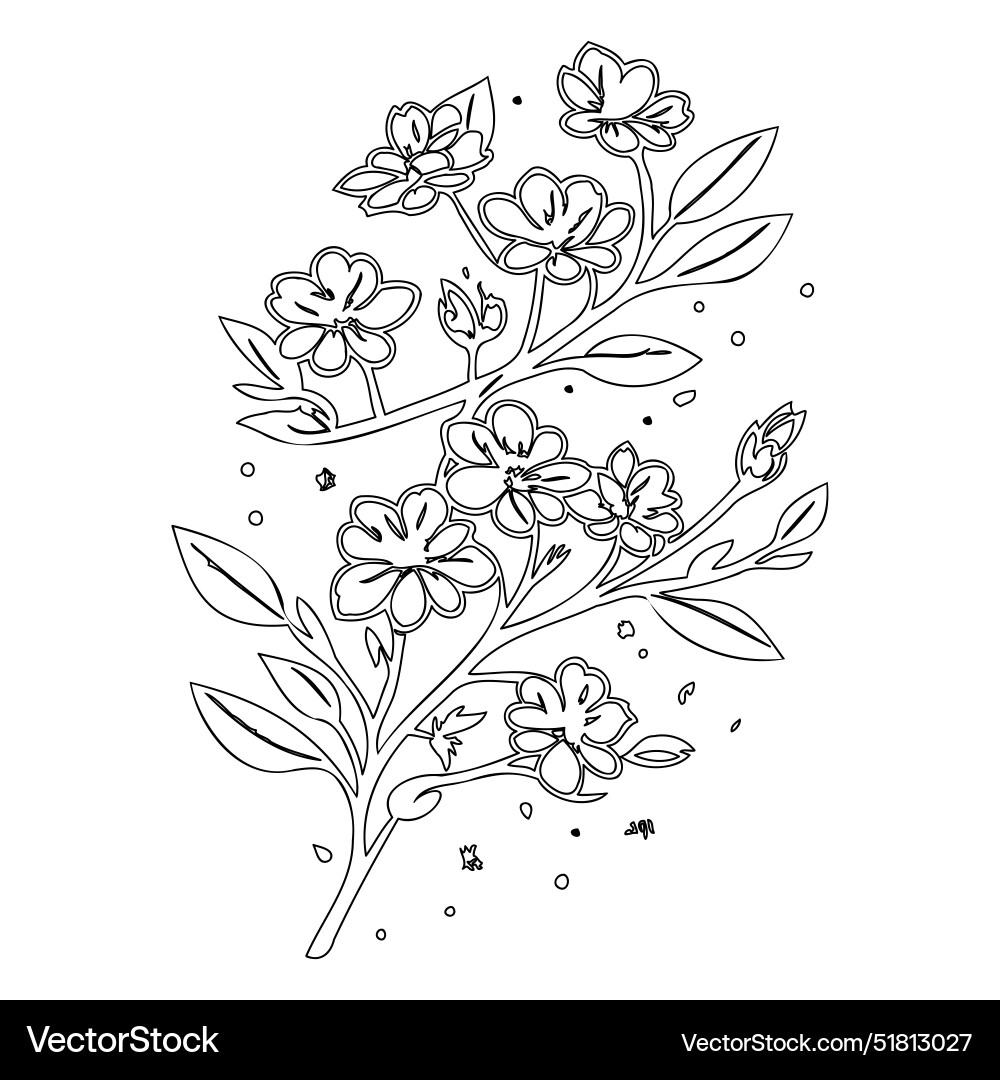 Sakura flower outline sketch Royalty Free Vector Image