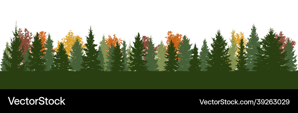 Autumn Forest - Fir Trees & Ash Royalty Free Vector