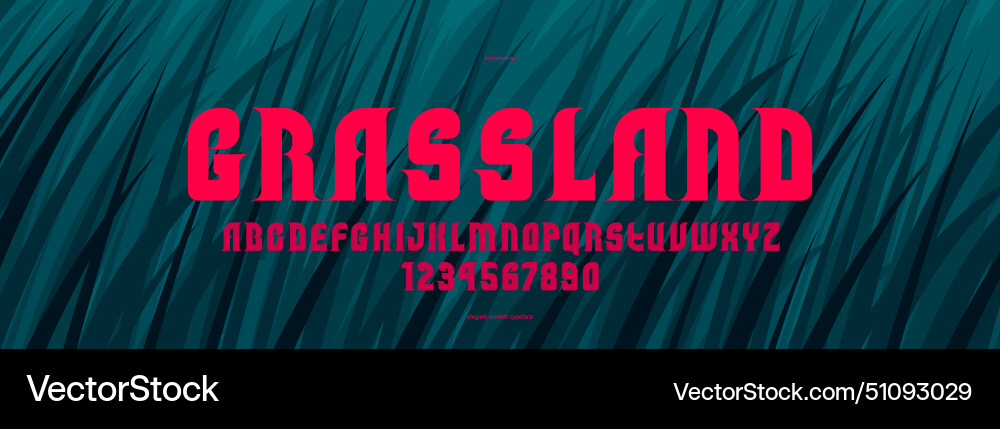 Modern luxury font elegant display typeface in Vector Image