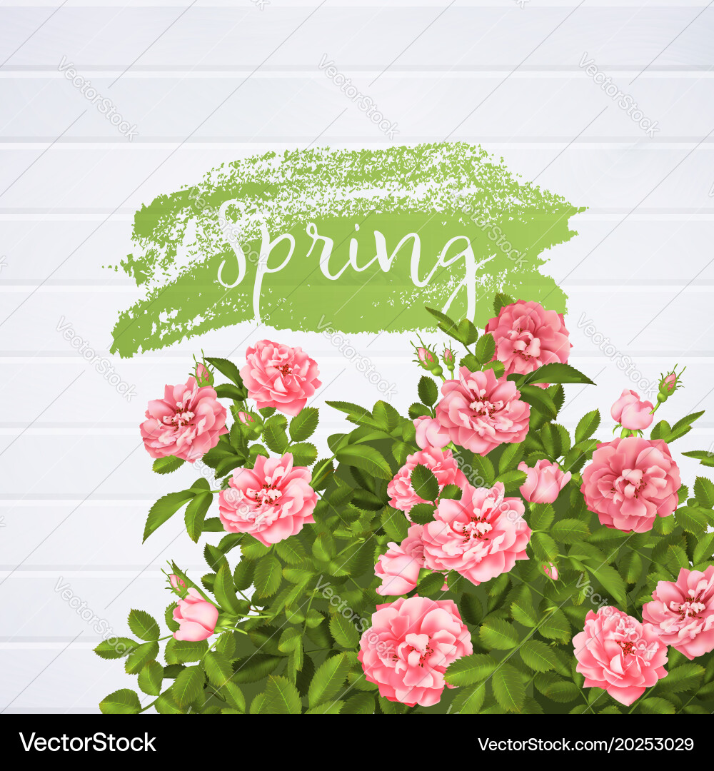 Realistic pink rose 3d roses Royalty Free Vector Image