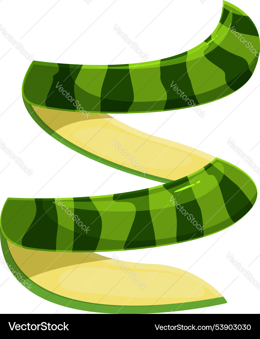 Watermelon rind forming a spiral shape Royalty Free Vector