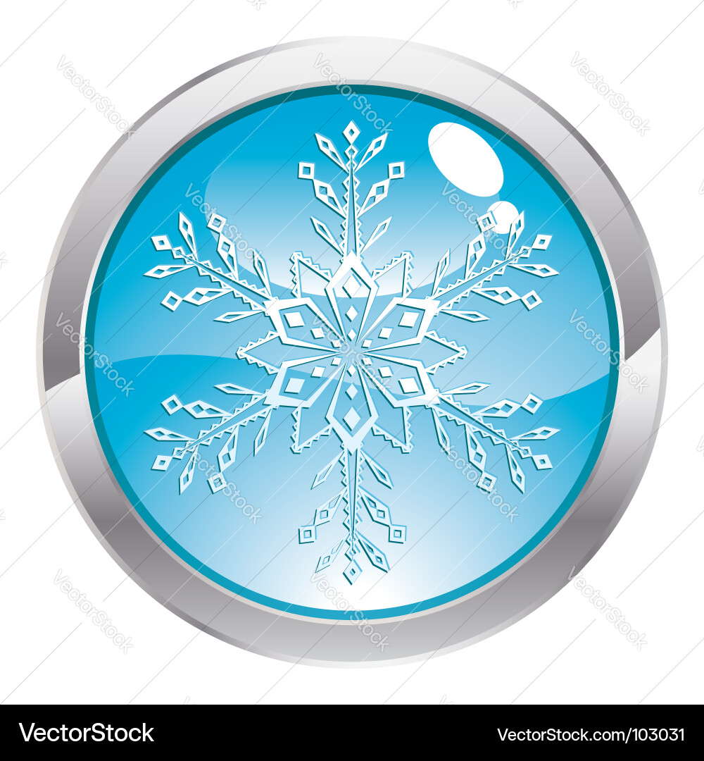 Button with snowflake Royalty Free Vector Image
