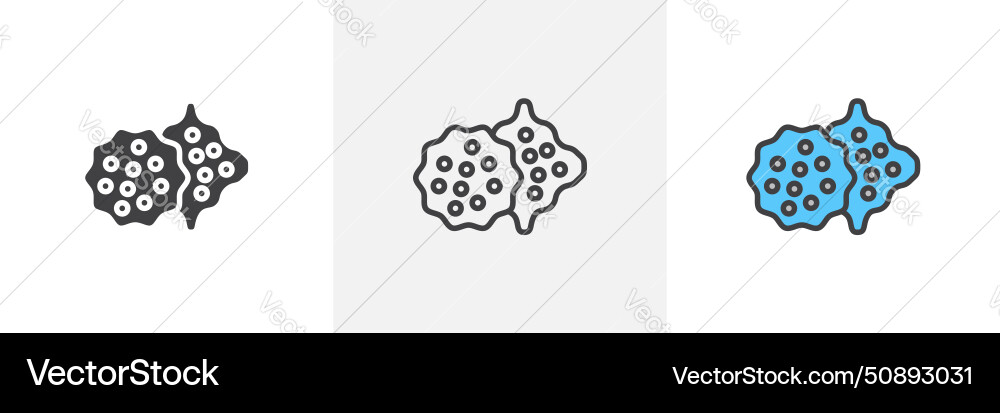 Crackers icon set biscuit snack cheese symbol Vector Image