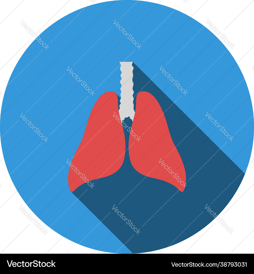Human lungs icon Royalty Free Vector Image - VectorStock