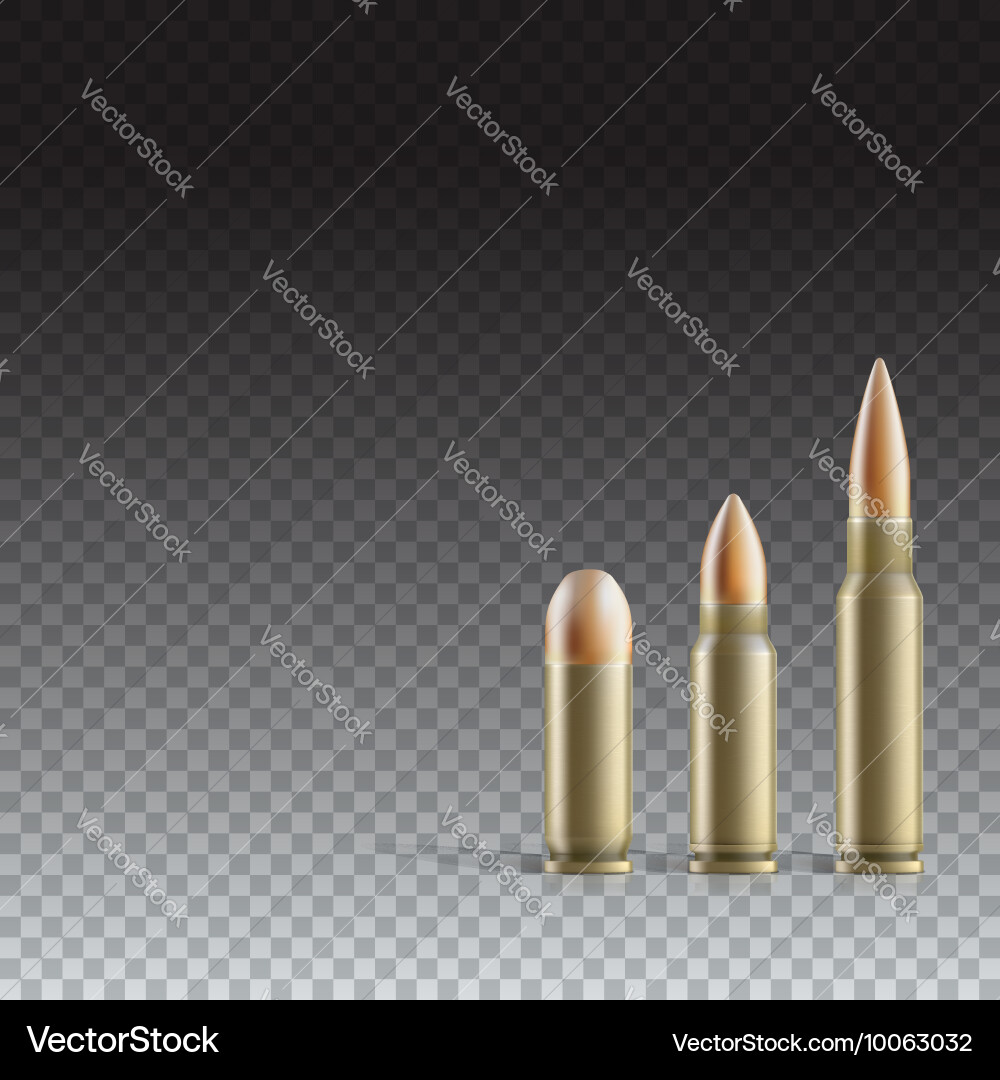Rifle and pistol bullets Royalty Free Vector Image
