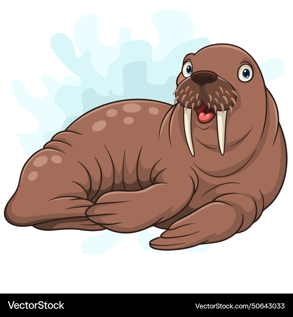 Cartoon walrus on white background Royalty Free Vector Image